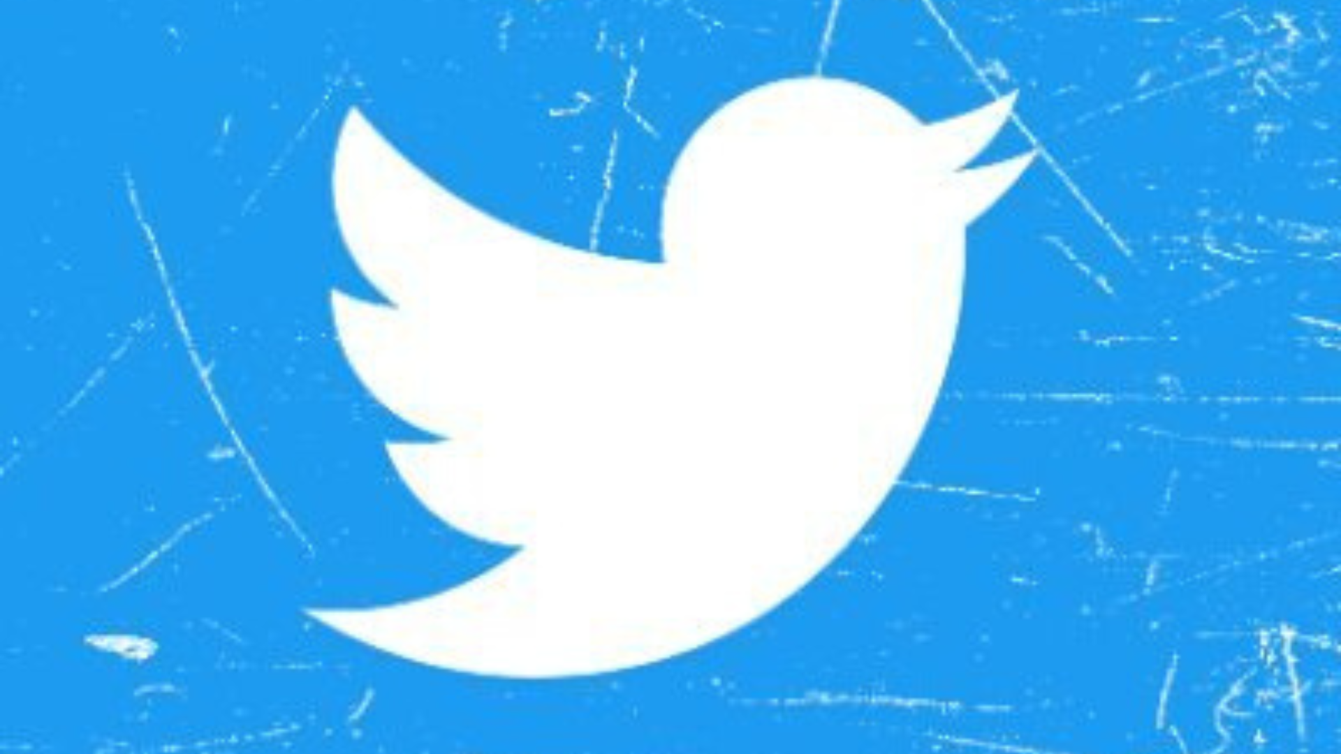 Twitter Ventures into Payment Space as Musk Drives for New Revenue ...