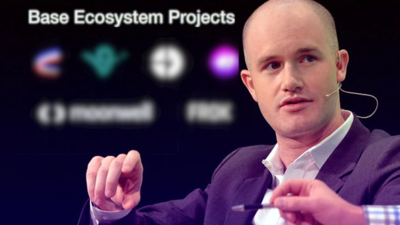 Base Gains Traction: From Coins to Cats - LedgerLife.io